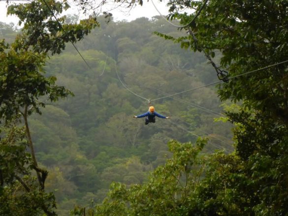 Canopy Monteverde: Abenteuer im Nebelwald von Costa Rica | Travelmaniacs